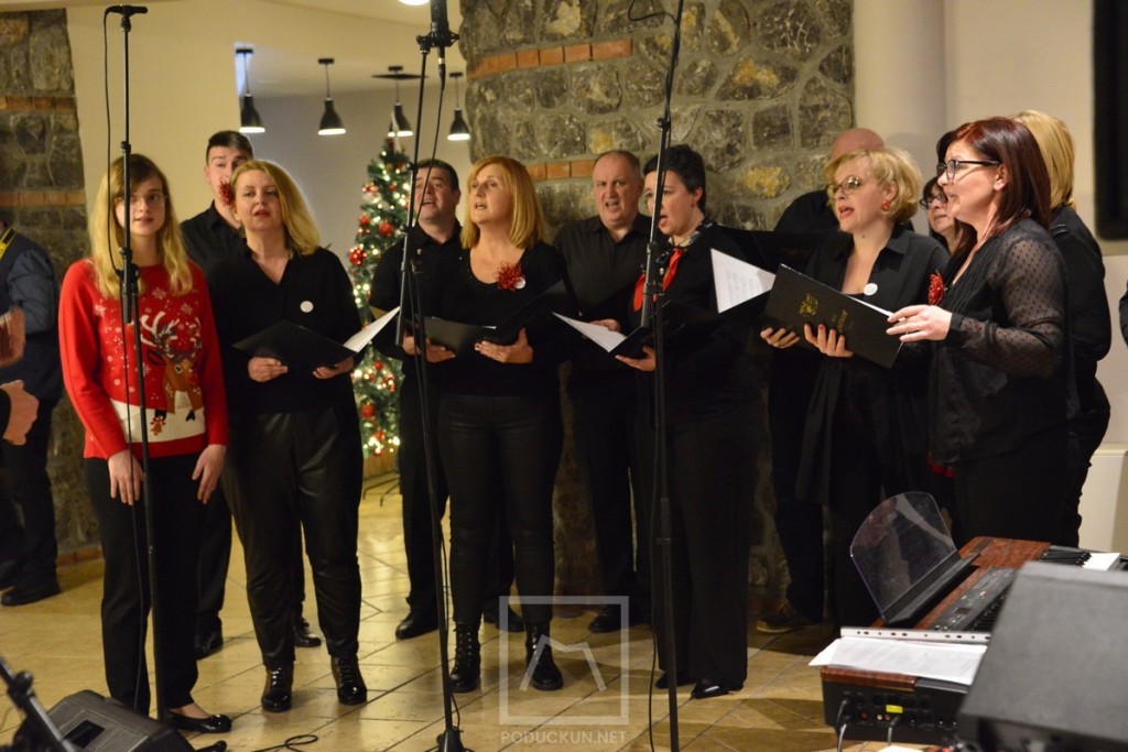 [VIDEO/FOTO] U Ronjgima predstavljena knjiga „Zelena mala dumbrava ...